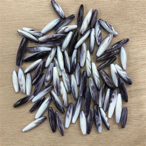 Quahog Shell Etsy