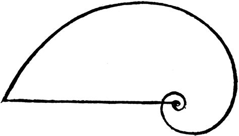 Logarithmic Spiral Clipart Etc