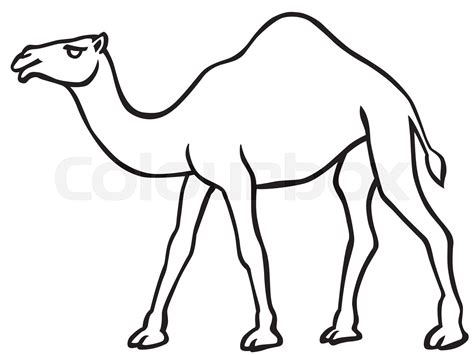 Camel Contour Icon Stock Vector Colourbox