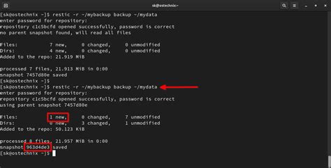 Linux 中使用 Restic 备份和恢复数据