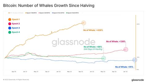 Parrot Bamboo Bnbchain On Binance Feed Glassnode Whale Increase