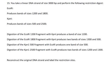 Solved 15 You Take A Linear Dna Strand Of Size 3000bp And