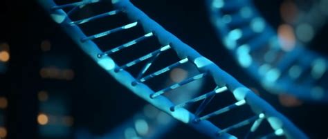 Cibersort算法对基因表达矩阵进行免疫细胞浸润分析及绘制分组箱线图 知乎