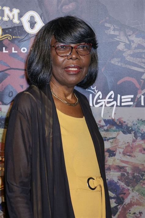 Notorious Bigs Mum Voletta Wallace Dies In Hospice Care Celebrity