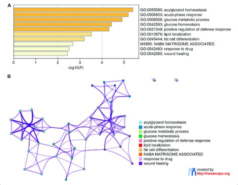 The Enrichment Analysis Of Angptl8 Betatrophin And The Top 20 Closely