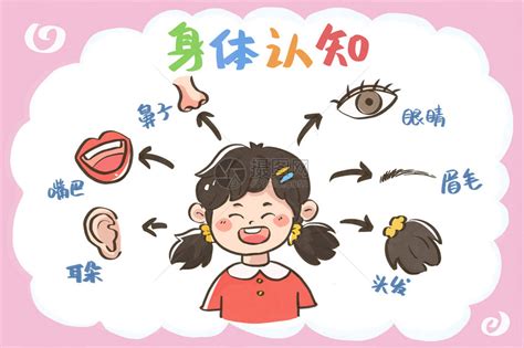 健康教育科普身体认知儿童简笔画插画图片下载 正版图片402564704 摄图网