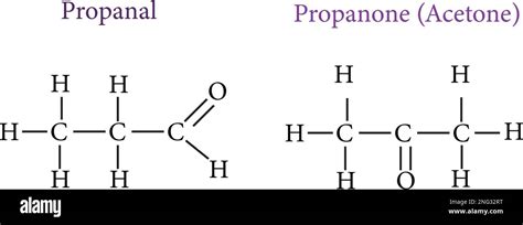 An Example Of Functional Isomerism Vector Image Stock Vector Image