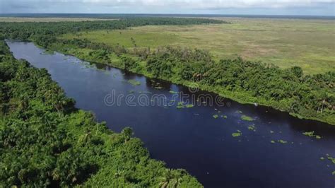 Aerial Truck Back Revealing River Canal In The Orinoco Delta Venezuela