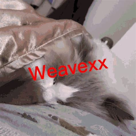 Weave Weavex  Weave Weavex Weavexx Discover And Share S