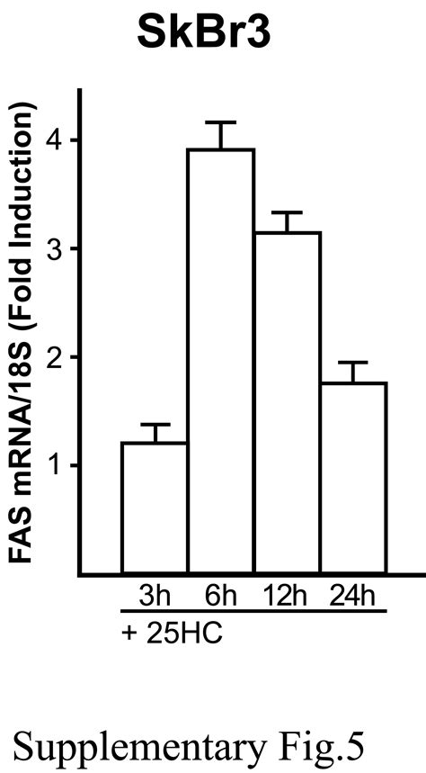 The Cholesterol Metabolite 25 Hydroxycholesterol Activates Estrogen