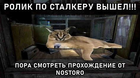 NOSTORO ПРОХОДИТ СТАЛКЕР АНОМАЛИИ нашел секретный лаз в трубе часть 6 ...