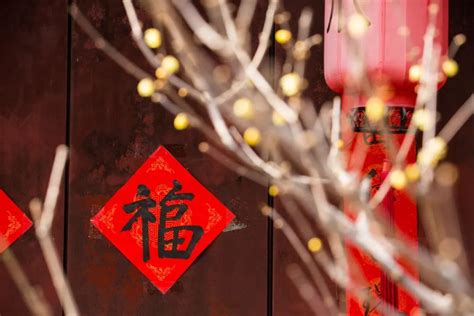 今日冬至 亭前垂柳珍重待春风 荔枝网新闻