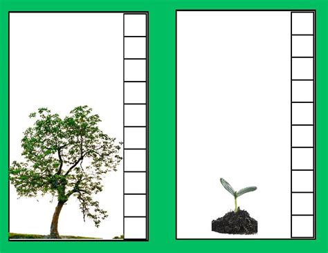 Creative Curriculum Tree Unit Measurement By Color Me Prek Tpt