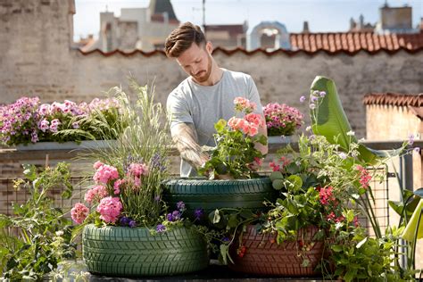 Après lhiver offrez un renouveau à votre jardin 4 étapes
