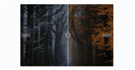 How To Show Before After Image Slider In WordPress Free
