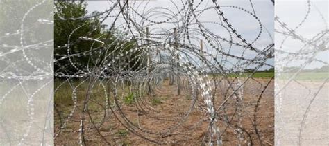 Колючая проволка егоза купить в Красноярске | Товары для дома и дачи ...