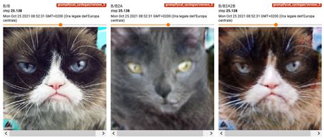 Domain Adaptation Image To Image Translation Gradient Reversal Layer Adversarial Domain