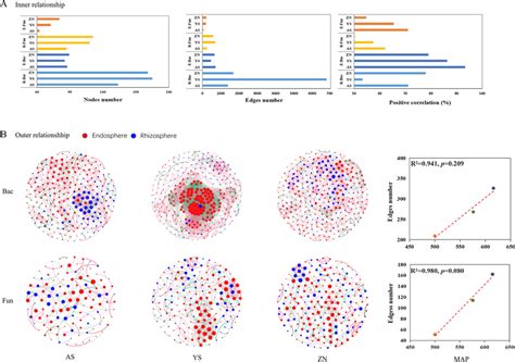 characterization of microbial network properties within and among