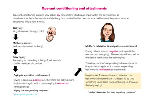 Learning Theory Of Attachment Teaching Resources