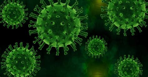 Qu Son Los Virus Esos Microorganismos Que Dominan El Mundo