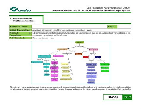 PDF Guía Pedagógica y de Evaluación del Módulo Interpretación