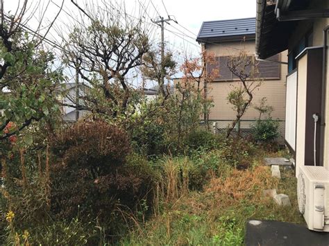 横浜市栄区にてお庭の管理作業（草刈、刈込、剪定） 植木職人の声と共に耳寄りな情報を随時更新いたします 横浜市瀬谷区の植木屋・造園業者