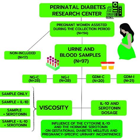 Representative Scheme For Obtaining Samples And Experimental Design Download Scientific Diagram