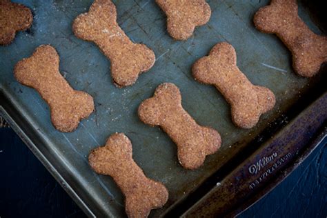 Biscoitos Caseiros Para Cachorros Veja A Receita