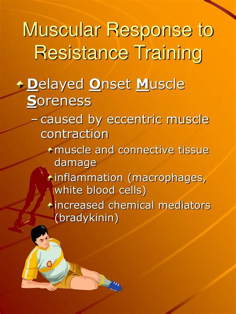 Ppt Neuromuscular Adaptations To Resistance Training Powerpoint Presentation Id847210