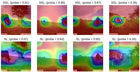 Saliency Maps Of Images With Varying Translation Download Scientific