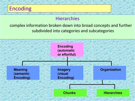 Ppt Ap Psychology Review For The Ap Exam Powerpoint Presentation