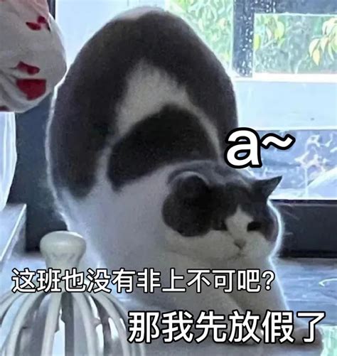 表情包 你说是就是吧