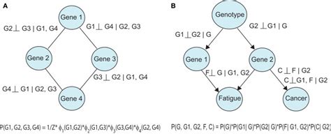 Probabilistic Graphical Models Can Be A Undirected Or B Directed