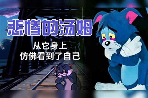 猫和老鼠：【黑白丨致郁】悲惨的汤姆，从它身上仿佛看到了自己汤姆