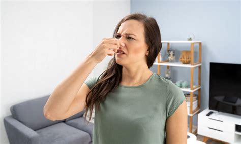 How to Get Rid of Gasoline Smell (In Your House or Garage)