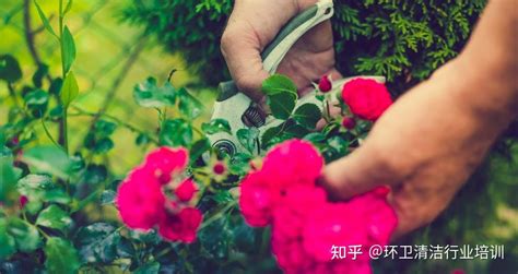 考园艺师资格证在哪里报名需要满足什么条件办理多少钱 知乎
