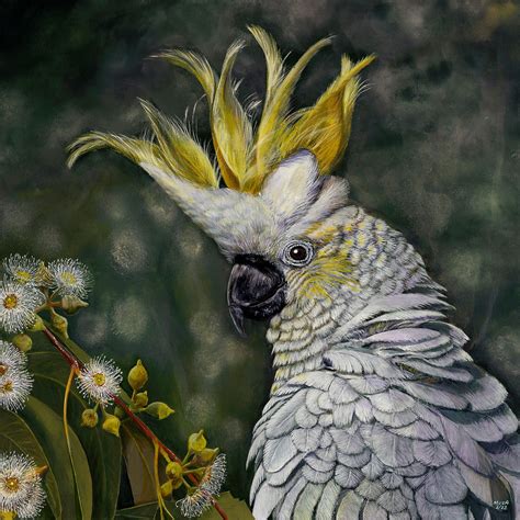 Gday Muza Ulasowski Artwestgallery