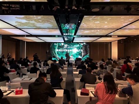 荥经以花为媒砂茶为介第十二届鸽子花生态旅游节新闻发布会召开 凤凰网