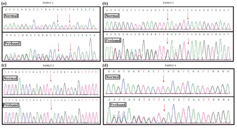 Mutation Screening Mutational Analysis Next Generation Sequencing And