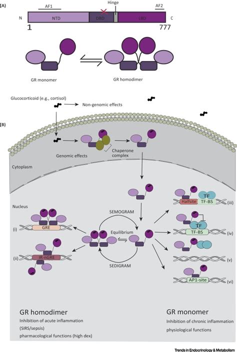 Actualités Scientifiques Médicales