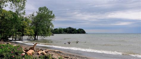 Port Credit The Villages Of Mississauga Real Esate