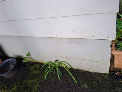 Hardiplank Cladding And Cement Baseboard Repairs 608209 Builderscrack