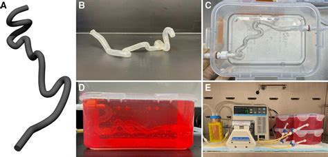 Custom Silicone Geometries Bioreactors And Set Up For Complex In