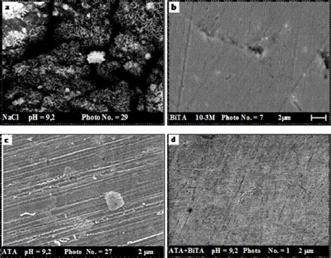 Sem Picture Of Cu 30ni Electrode Surface After 24 H Immersion In 3
