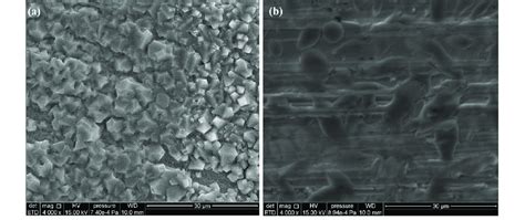 Sem Micrographs Of Cu Surface After 24 H Immersion In 3nacl Without
