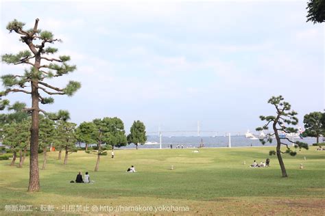 ポケモンgo 横浜みなとみらい「臨港パーク」でピカチュウ・パウワウ・ケーシィ・ニャースに遭遇 はまこれ横浜