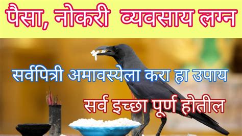 सर्वपित्री अमावस्येला करा हा उपायपैसा नोकरी व्यवसाय लग्न सर्व मनोकामना