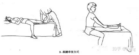 脊髓损伤的康复 知乎