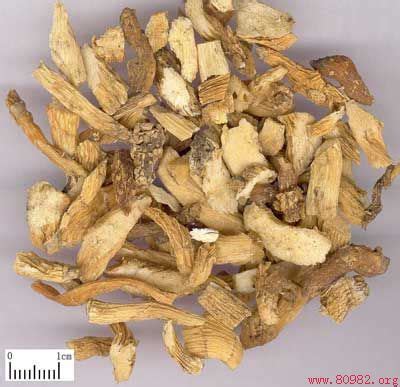 玉竹的功效与作用 玉竹的做法 玉竹的图片 中药功效 养生堂