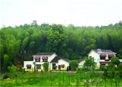 长沙这9个村增补为2018年美丽乡村示范创建村有你家乡吗 时政 长沙晚报网